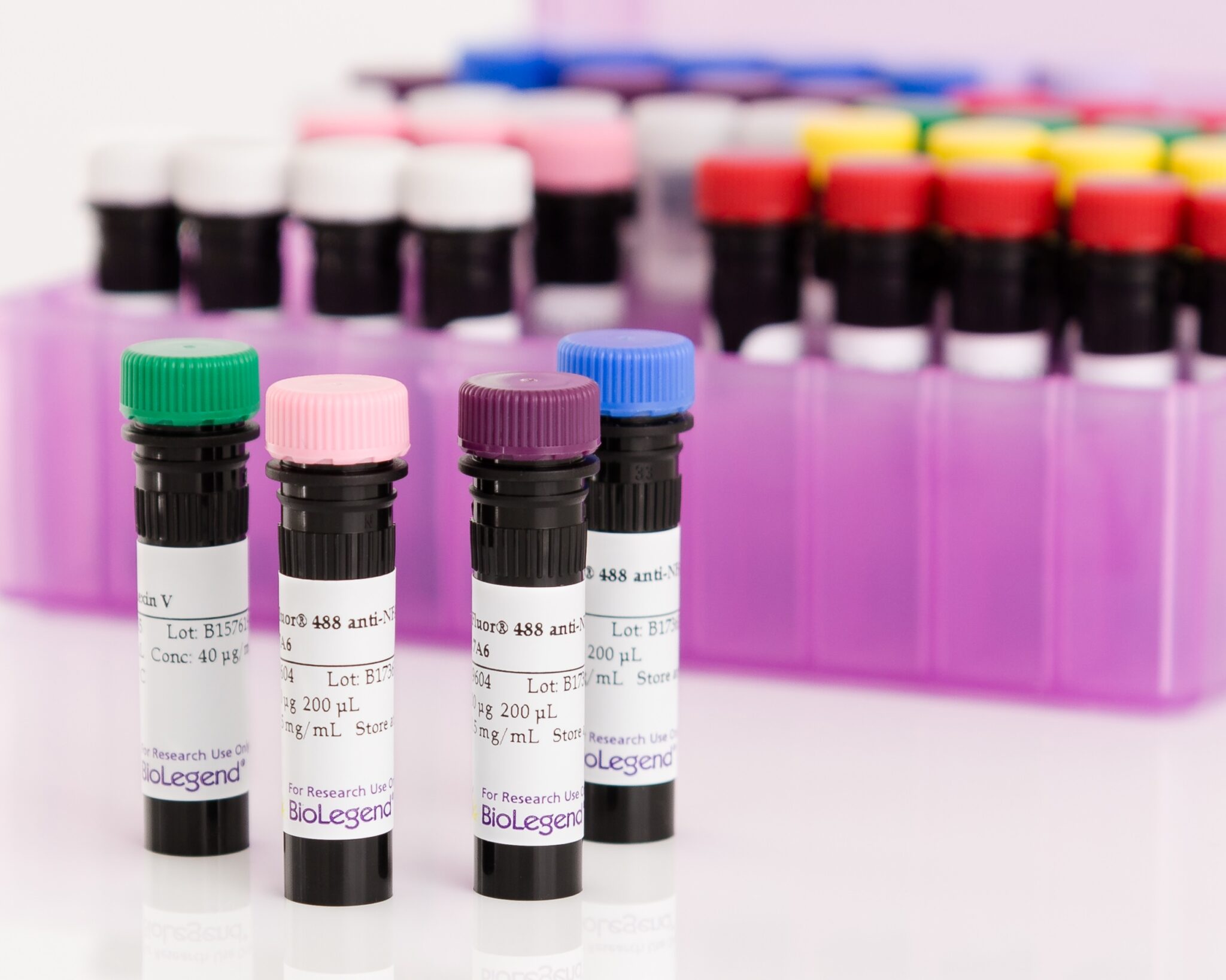 Primary Antibodies – IDA Yasam Teknolojileri