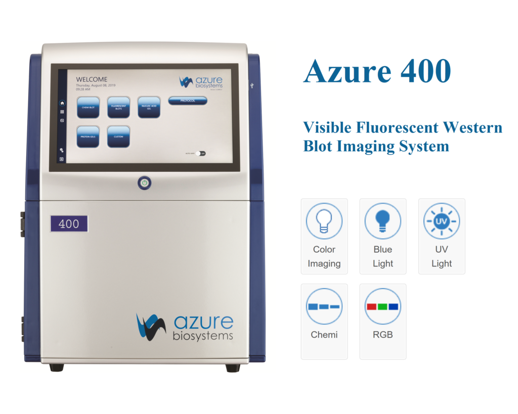 Azure 400 Floresan Western Blot Görüntüleme Sistemi – IDA Yasam ...