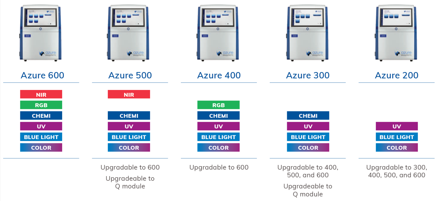 Azure 300 Kemilüminesan Western Blot Görüntüleme Sistemi – IDA Yasam ...