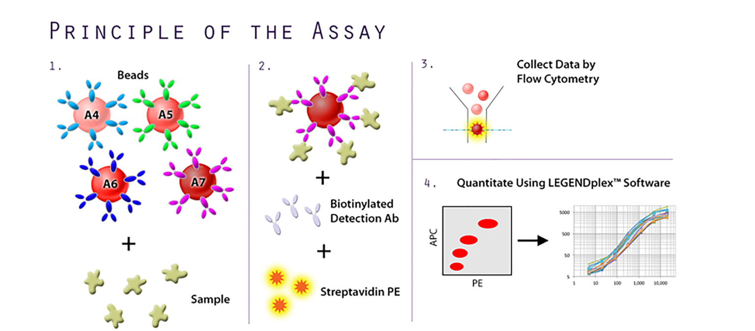 Multiplex Assays ‐ LEGENDplex™ – IDA Yasam Teknolojileri
